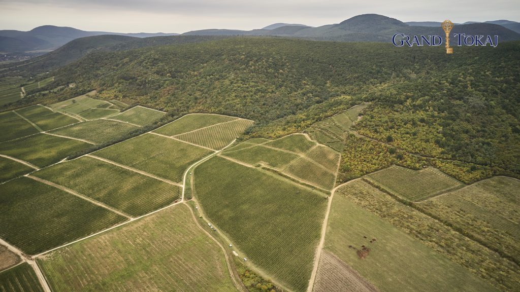 Grand Tokaj - Hungary at Diwe